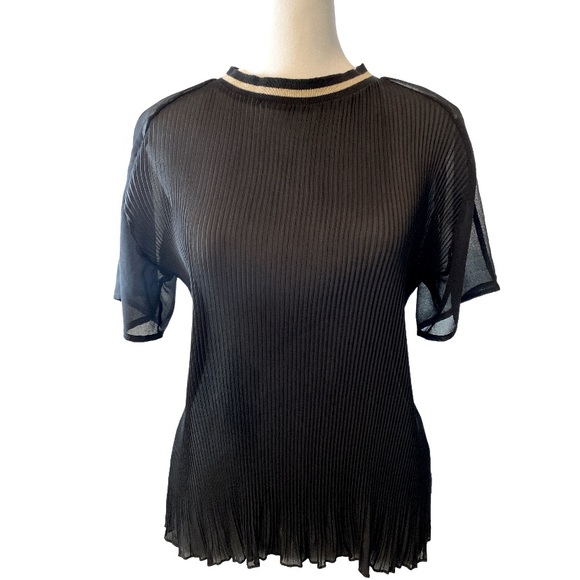 Zara | Tops | Zara Collection Pleated Sheer Top | Poshmark